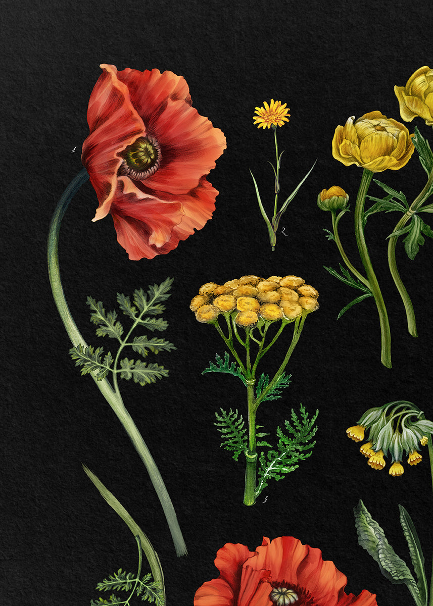 FLOWER PLATE NO1 – Saga Mariah Shop