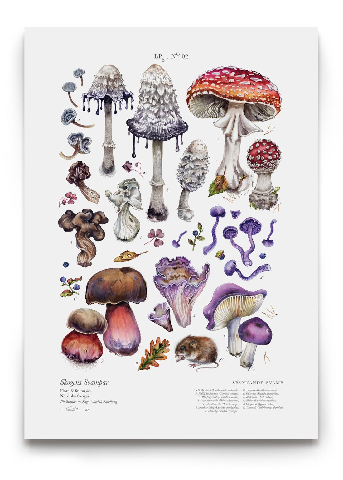 Peculiar Shrooms Poster – Saga Mariah Shop