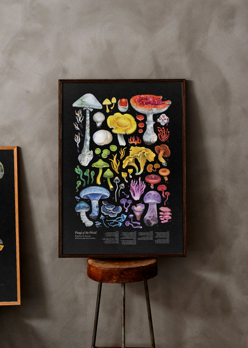 Rainbow of Shrooms Poster – Saga Mariah Shop