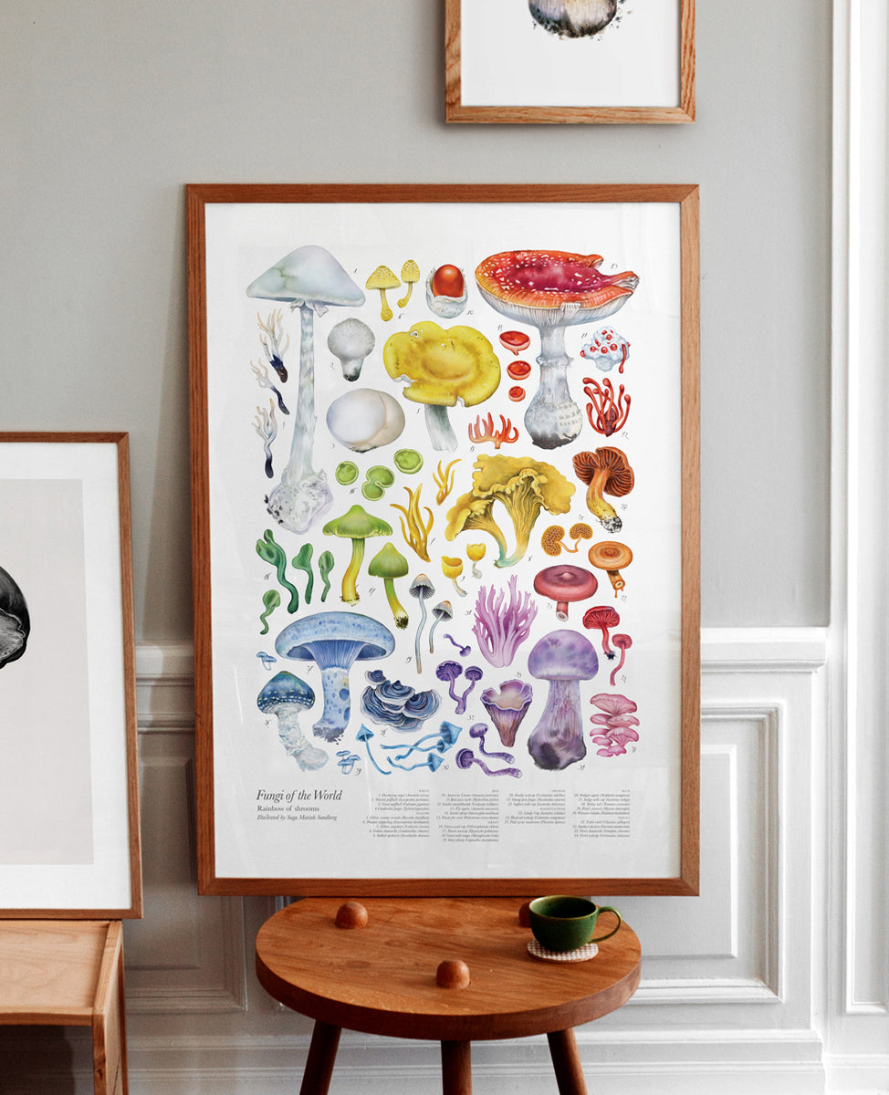 Rainbow of Shrooms Poster – Saga Mariah Shop